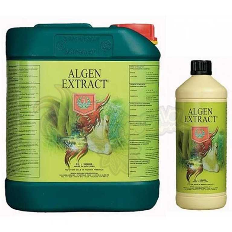 Algen Extract 5 L H&G - Cognoscitiva