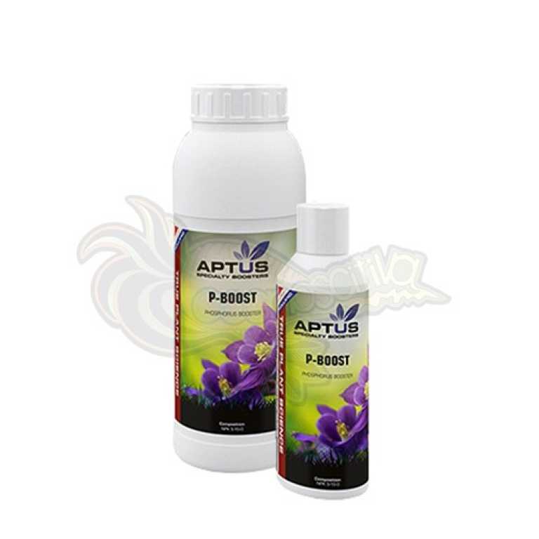 APTUS P-Boost 500 ml - Cognoscitiva