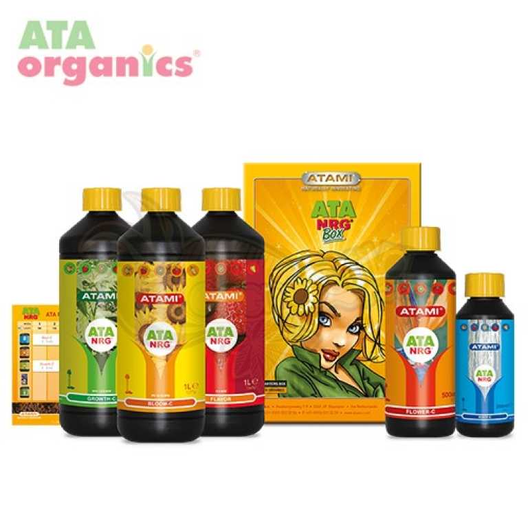 ATA Box Organic - Cognoscitiva