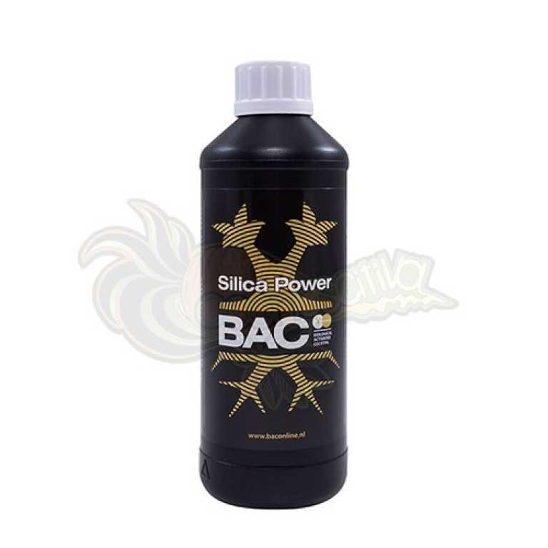 BAC Silica Power 500 ml - Cognoscitiva