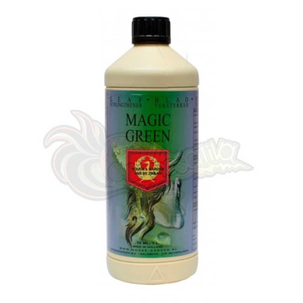 Magic Green 1 L H&G - Cognoscitiva