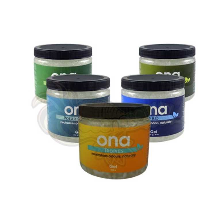Ona Gel Pro 428g - Cognoscitiva